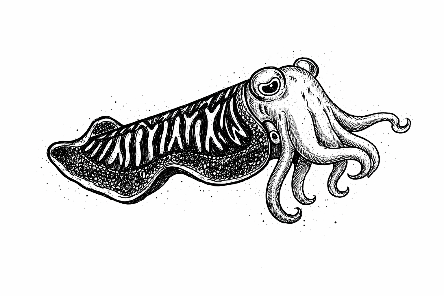 Ragged Ink